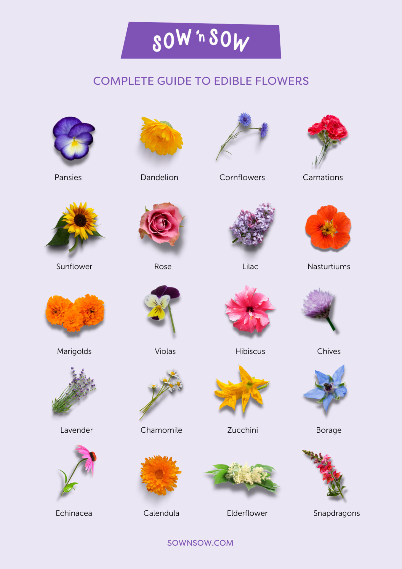 what flowers are edible - Larrea | Restaurant in Las Vegas, NV