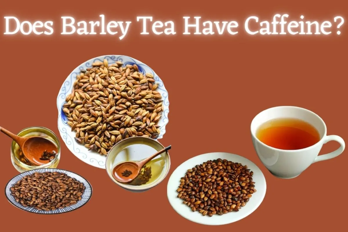 does barley tea have caffeine - Larrea | Restaurant in Las Vegas, NV